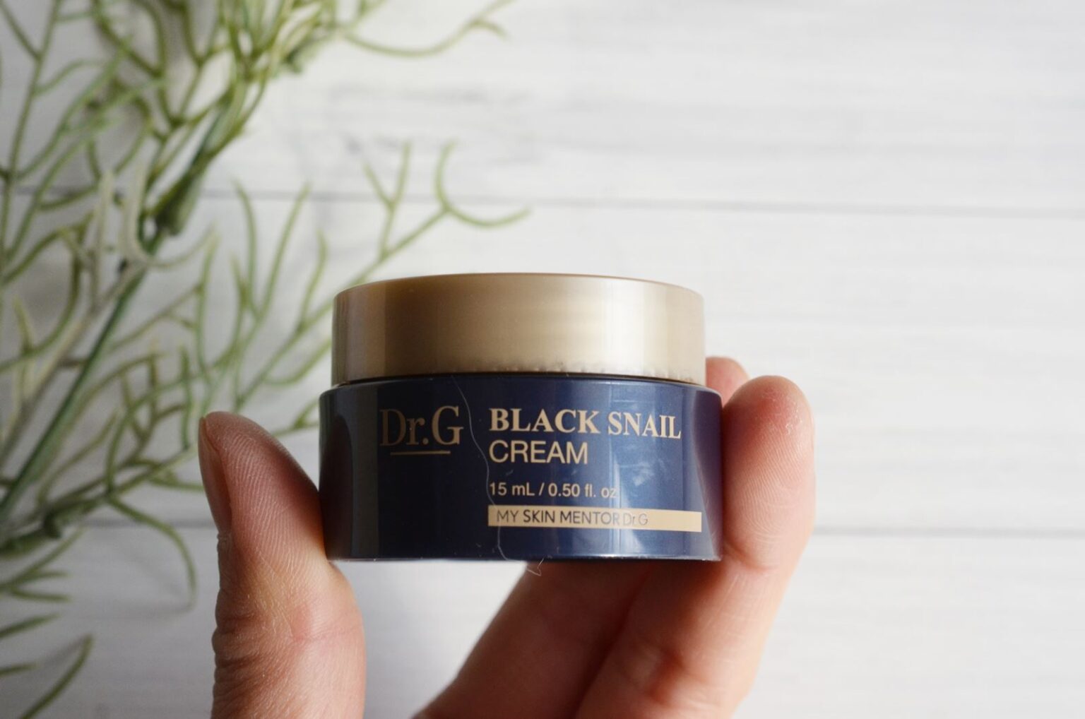 定期便コスメ【Rakuten RAXY 】2024年1月イガリシノブさんコラボボックス | 【きに楽】キニラク